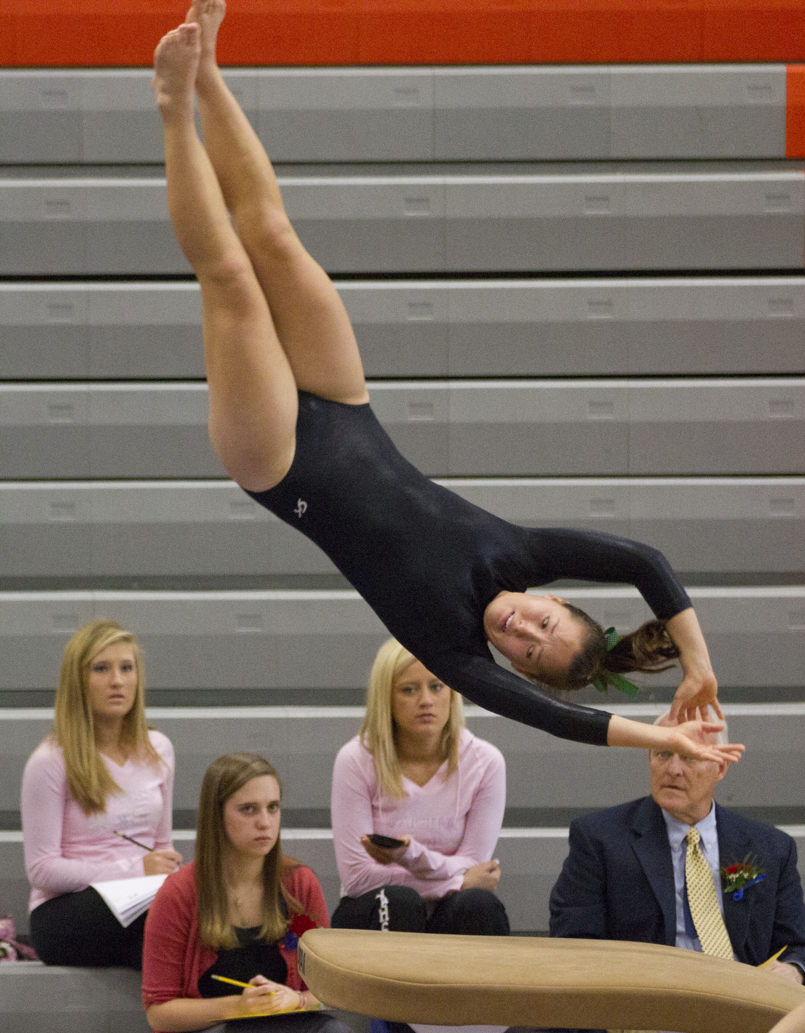 Photo gallery: State gymnastics | News, Sports, Jobs - Lawrence Journal ...